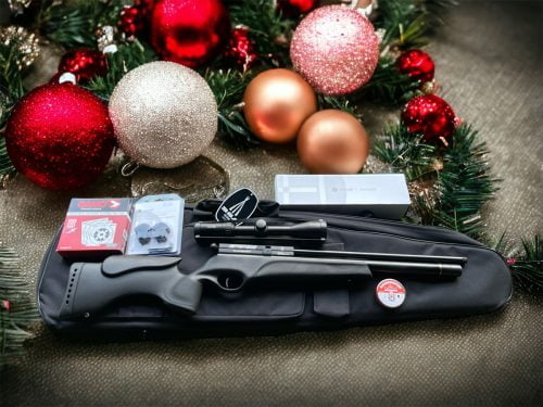 BSA Scorpion TS PCP .177 rifle - Sussex Shooting